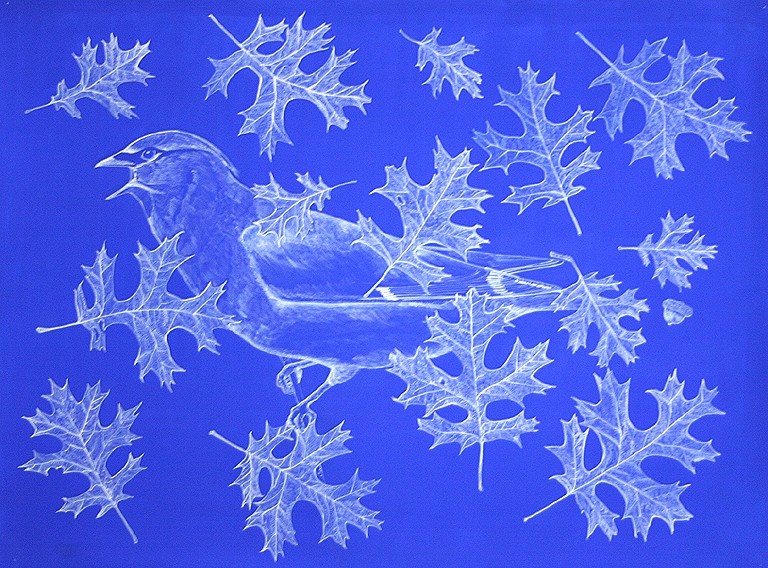 Outlines | Cape Cod Community College